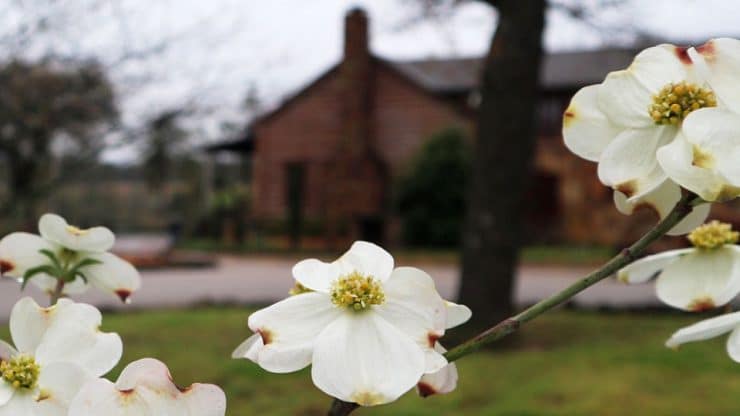 Woolaroc | Museum & Wildlife Preserve | woolaroc.org