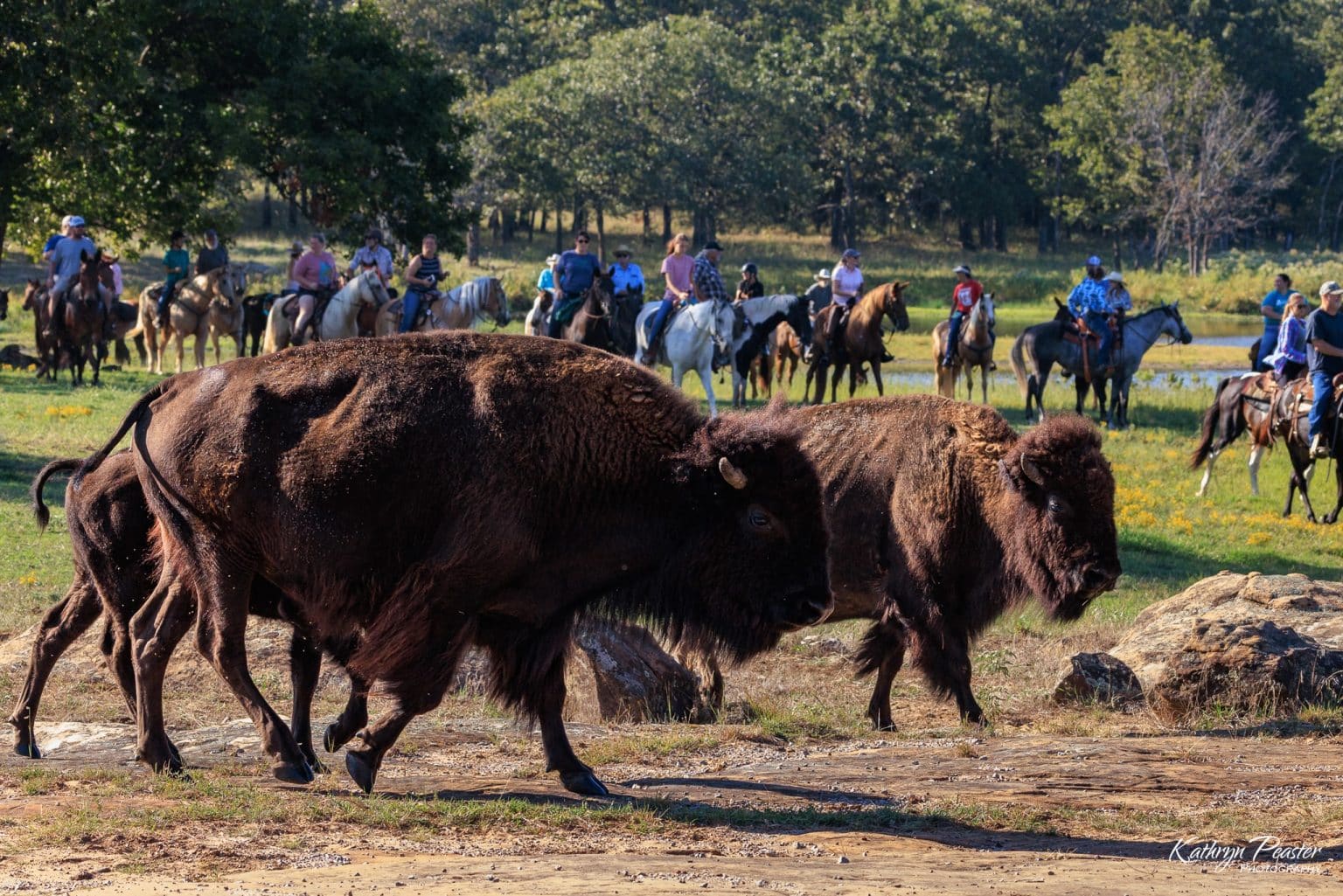 Woolaroc Fall Trail Ride - Woolaroc